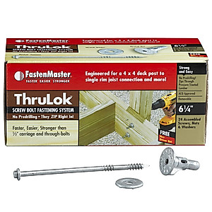 FastenMaster FMTHR614-24 ThruLOK Screw Bolt Fastening System, 6-1/4 Inches, 24-Count,Silver