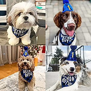 Dog Birthday Party Supplies, Boy Dog Birthday Bandana Scarf and Dog Birthday Hat with Number.