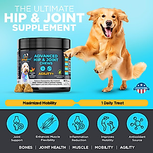 Googipet Hip and Joint Supplement for Dogs - Glucosamine for Dogs – Soft Chews w/Green Lipped Mussels for Dogs, Turmeric for Dog Arthritis & Mobility for All Ages & Breeds