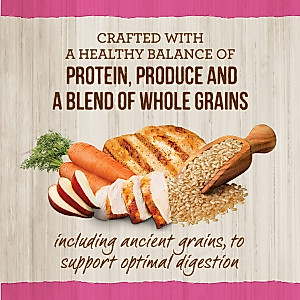 Merrick Classic Healthy Grains Dry Dog Food Small Breed Recipe - 4.0 Lb Bag