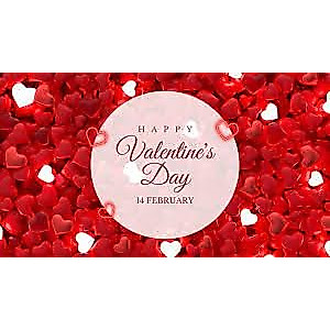 SHASH Everyday 100% Boar Bristle Hair Brush - Made in Germany | Suitable For Thin To Normal Hair, Firm, and Naturally Conditioning | Enhance Texture, Exfoliate, and Stimulate the Scalp