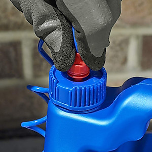 BioAdvanced Southern Weed Killer for Lawns, Ready-to-Use, 1 Gal