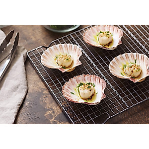 Nantucket Seafood Natural Baking Sea Shells, 5-Inch, Set of 4