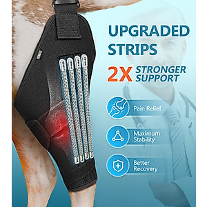 CAMRIER 2X Support Dog Knee Brace with Metal Strips for Joint Pain Relief, Dog Leg Braces for Torn Acl Hind Leg, Rear Leg Brace with Adjustable Traction Belt for Cruciate Ligament Injury, Arthritis