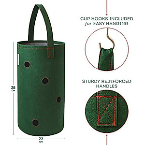 Pri Gardens Hanging Strawberry Planter for Strawberry Bare Root Plants (Roots not Included) Felt Material 2 Pack