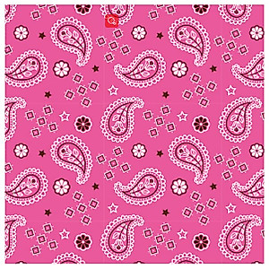 93 Pieces Western Cowgirl Birthday Party Decorations Pack- Serves 8 - Wild West Cowgirl Theme Birthday Party Supplies Includes Cowgirl Birthday Party Paper Plates Napkins Cups and Plastic Cutlery Set