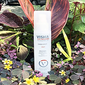 Visha Skincare Cheek 2 Feet 4 in 1 Body Spray for Men and Women, Decreases Bumpy Skin and Shave Bumps, Blemishes and Sweat Rashes, Aluminum Free Deodorizing Mist for Daily Use and After Workout 4fl oz