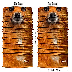 Obacle Animal Half Face Mask Sun Dust Wind Protection Seamless Face Mask for Men Women, Lightweight Thin Neck Gaiter for Outdoor Sports Gifts (Dog with Yellow Hairs)