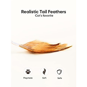 Petchain Interactive Cat Toy, Cat Toys for Indoor Cats Cat Feather Toys Automatic Cat Toy Cat Mouse Toy with Feather Tail Kitty Toys with USB Charging