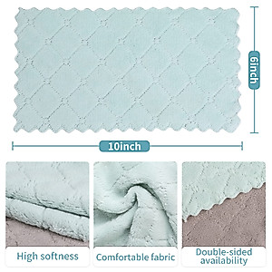 GADIEDIE 20Pcs Kitchen Cloth,Dish Towels,Super Absorbent Coral Fleece Dishtowels,Premium Dishcloths,Nonstick Oil Washable Fast Drying Dish Rags,for Clean Table Dish Glass Pet Paws (Green Gray)