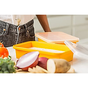 (2 Pack) Large Silicone Freezer Containers For Soup, Pasta Sauce, Leftovers, Broth & More - 6 Cup Reusable BPA Free Non Plastic Food Storage Freezing Trays With Lids & Measurement Lines (2 Pack)