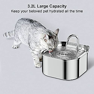 NautyPaws Cat Water Fountain, 3.2L/108oz Automatic Stainless Steel Pet Fountain Dog Water Dispenser with Super Quiet Design - Ideal for Cats, Dogs, and Multiple Pets - Dishwasher Safe
