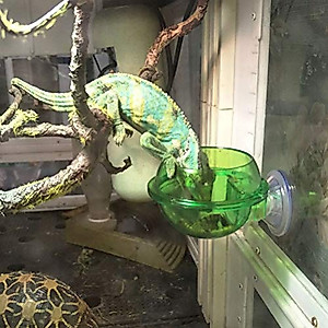 balacoo 4pcs Reptile Food Bowl Turtle Feeder Feeding Dish Tortoise Food Container Reptile Eating Bowl Water Dish Tray for Gecko Snake Turtle Bearded Dragon