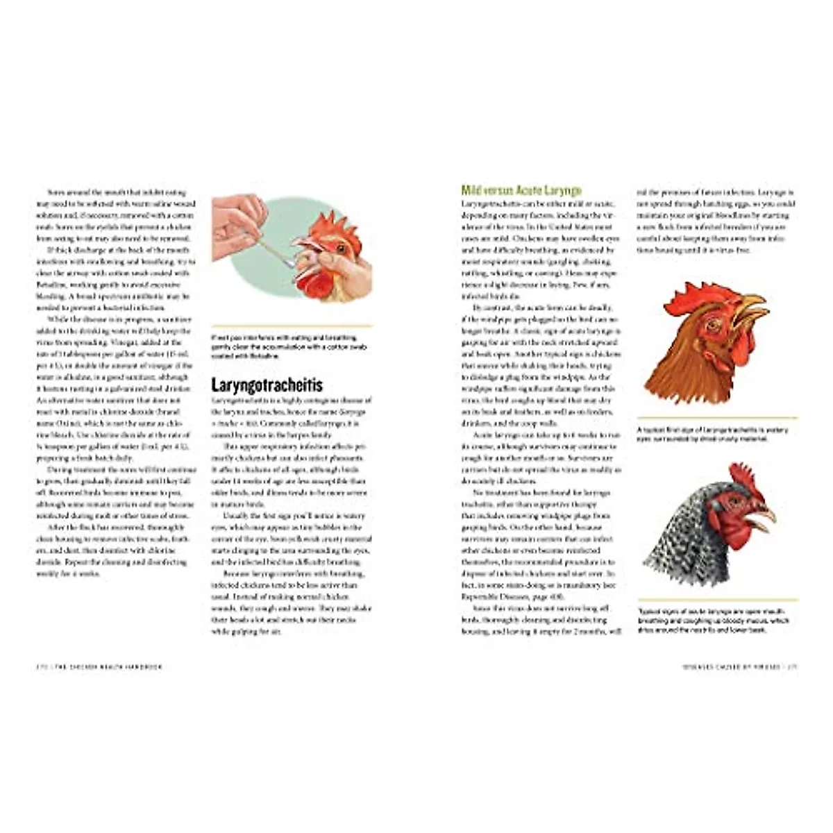 The Chicken Health Handbook, 2nd Edition: A Complete Guide to Maximizing Flock Health and Dealing with Disease