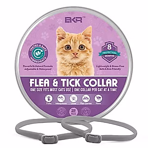 BKRMART Flea and Tick Collar for Cats, 8 Months Protection Natural Cat Flea Collar and Tick Treatment, One Size Fits All Cats Flea & Tick Prevention Collar 2 Pack