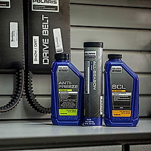Polaris Snowmobile SCL Synthetic Chaincase Lubricant