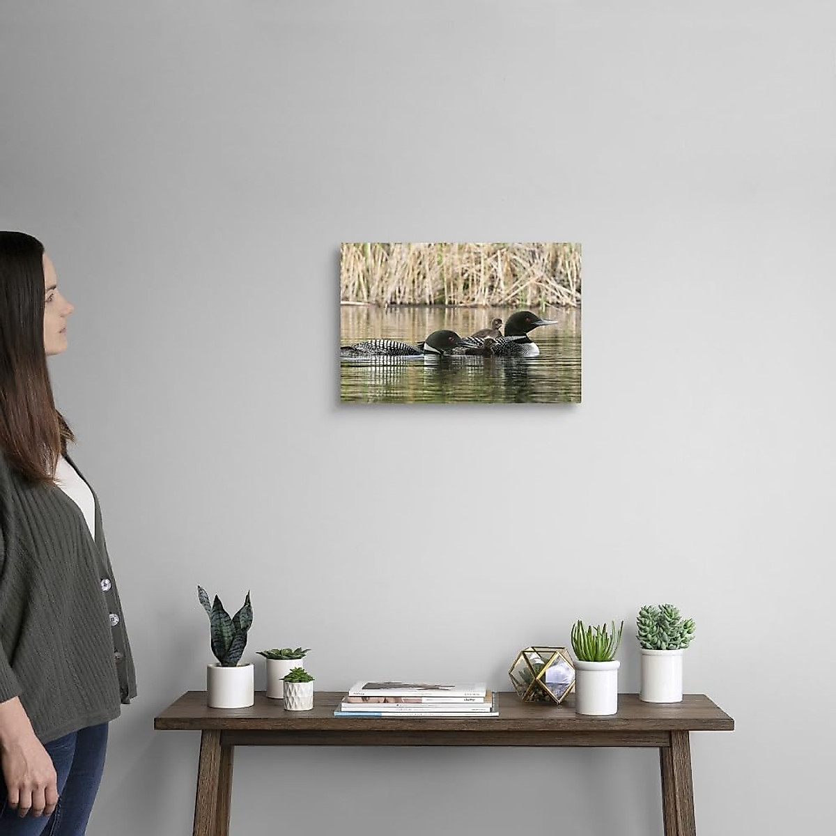 CANVAS ON DEMAND Common Loon Family, One Adult Loon Is Giving an Aquatic Insect to Its Chick Canvas Wall Art Print by Charles Sleicher, Home Decor, Bird, Wildlife Artwork, 18" x12in