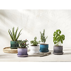 Le Creuset Stoneware Herb Planter, 5.5 Inches, Artichaut