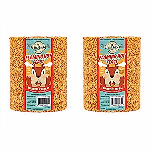 2-Pack of Mr. Bird Flaming Hot Feast Large Wild Bird Seed Cylinder 4 lbs. 3 oz.