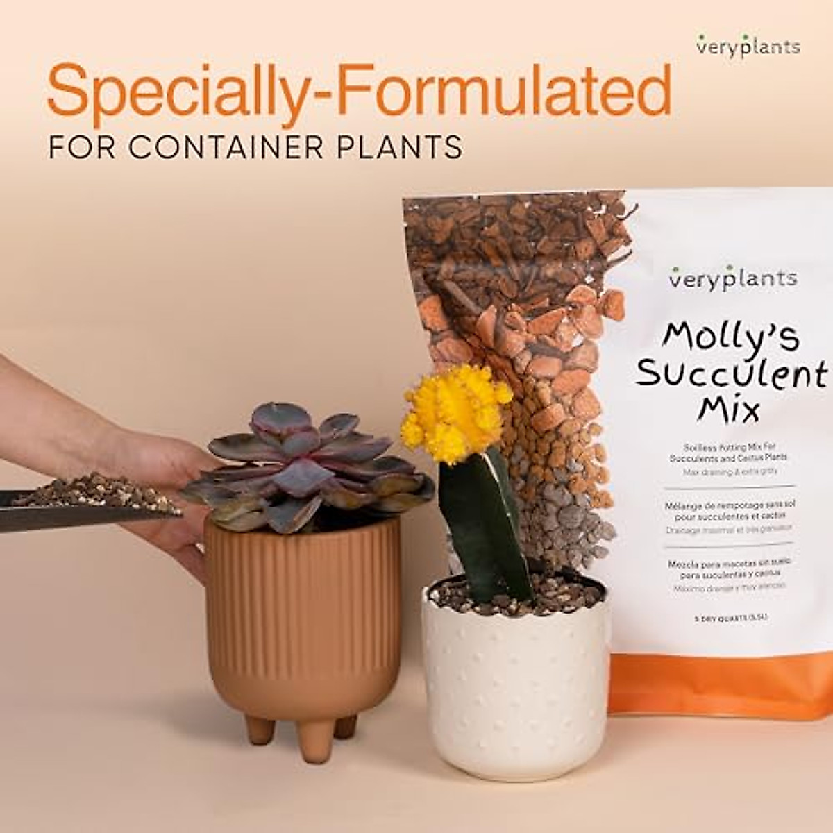 Molly's Succulent Mix - Premium Gritty Soilless Potting Mix for Succulents, Cactus and Bonsai - Contains Akadama, Hyuga, Bark Fines, Pumice, Lava Rock, Mycorrhizae 3.3 Liters