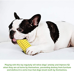 Furever Dog Chew Toys, Puppy Toothbrush Toys, Teething Cleaning Dental Rope Toys for Aggressive Chewers for Small Medium Large Dogs Breed