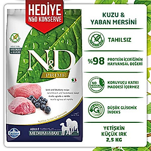 Lamb & Blueberry Adult Medium & Maxi