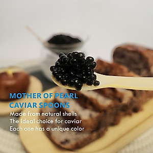 ThougrLyh Caviar Server Set Glass Caviar Dish with 2 Pcs Shell Caviar Spoons Chiller Server with Ice Holder for Shrimp Ice Cream Martinis and Cocktails Dishwasher Safe Caviar Serving Dish