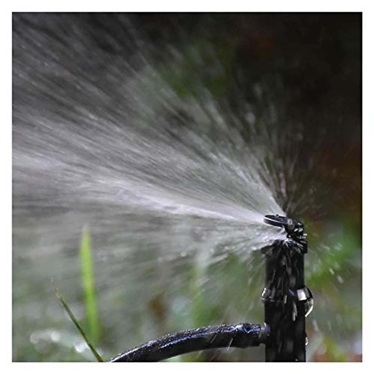 ZXCVB 180 Degree Atomization Nozzle Garden Irrigation Refraction Nozzle Agricultural Fruit Tree Watering Sprayer 50 Pieces (Color : 6MM)