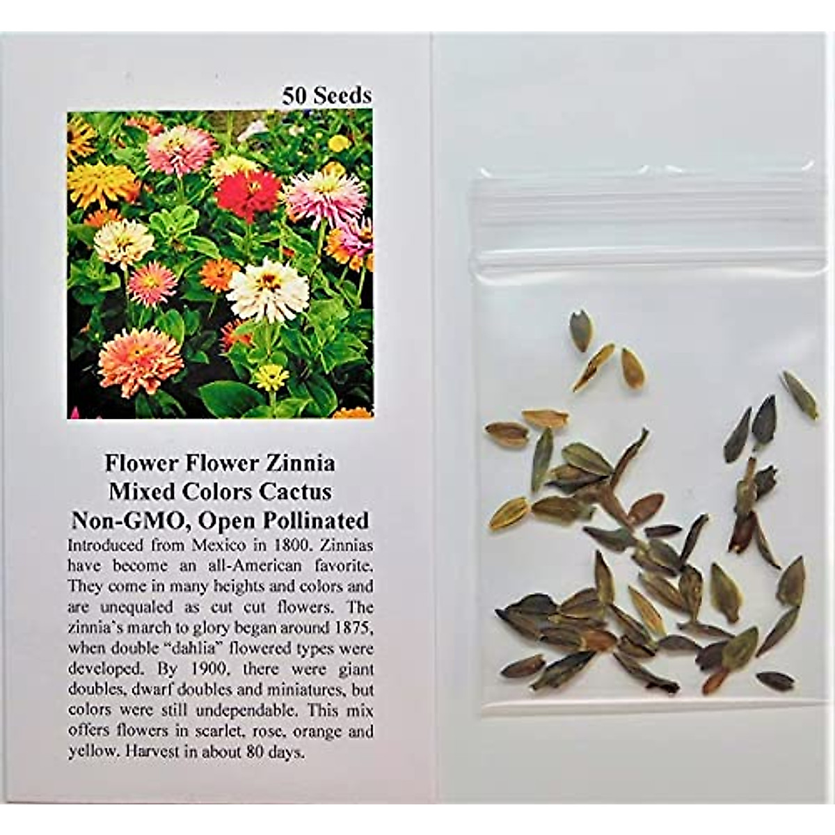 David's Garden Seeds Flower Zinnia Mixed Colors Cactus 1136 (Multi) 50 Non-GMO, Heirloom Seeds