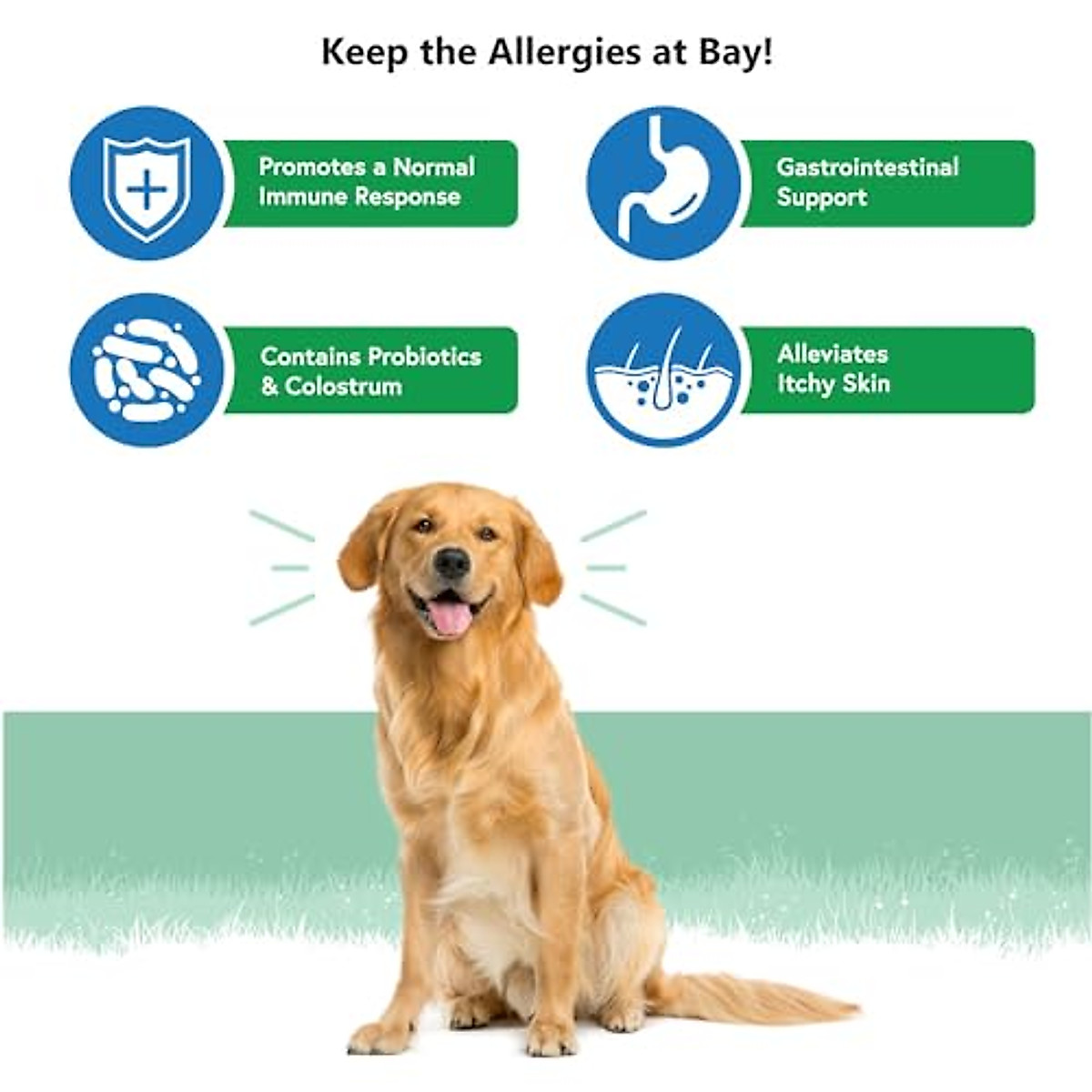 Aller-Chews Max Allergy Support Soft Chew Bites - Maintains Skin and Coat - Supports Immune System - Turmeric and Wild Alaskan Salmon Oil (100ct)