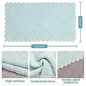 GADIEDIE 10 Pack Kitchen Dish Cloths Dish Towels,Super Absorbent Coral Fleece Cloth,Premium Dishcloths,Nonstick Oil Washable Fast Drying Dish Rags,Reusable Cloth forTable Chair Dish Glass