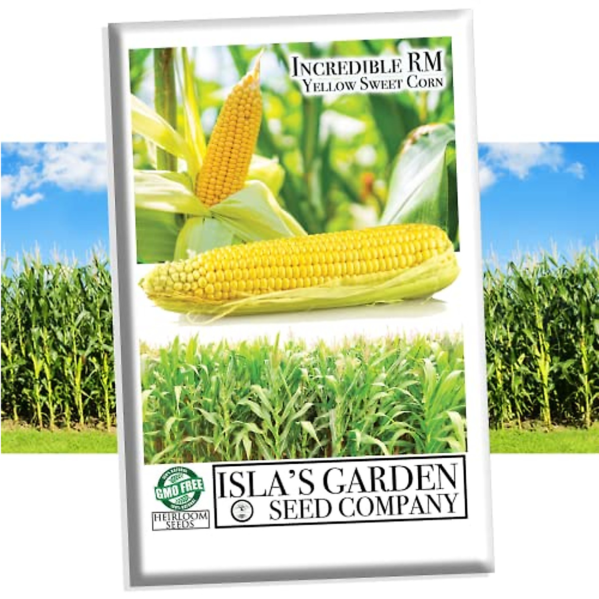 "Incredible" RM Sweet Yellow Corn, 75 Heirloom Seeds, Sweet Incredible ...