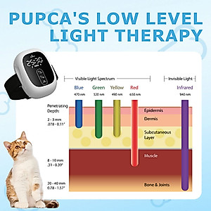 PUPCA Cold Laser Therapy for Dogs, Portable Red Light Therapy Vet Device for Pain Relief, Muscle & Joint Pain from Dog Arthritis, Clear Skin Infections with 2 Therapy Modules