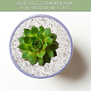 Horticultural Perlite Soil Additive (4 Quarts); for Enhanced Potting Mix Drainage and Growth
