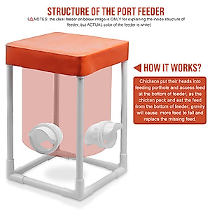 Chicken Feeder and Waterer Combo, 17.6LBS Four Chicken Feeder Ports & 2.64 Gallon Four Automatic Fill Waterer Cups Birds Poultry Feeding Equipment for up to 20 Adult Chickens