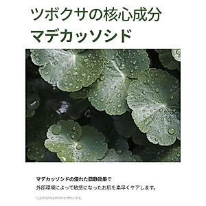 ROUND LAB Mugwort Calming Cream 80ml / Soothing, Moisturizing, Madecassoside, Calming Cream