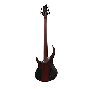 IYV, 5-String Electric Bass, Trans red (IBA-500)