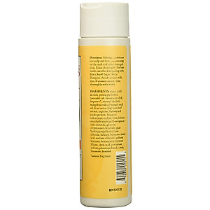 Burt's Bees Super Shiny Mango Conditioner, Sulfate-Free Conditioner - 10 Ounce Bottle