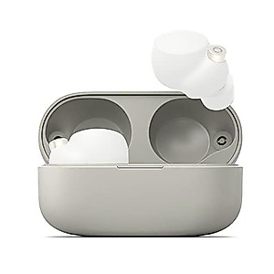 Sony WF-1000XM4 Replacement OEM Charging Case (Silver)