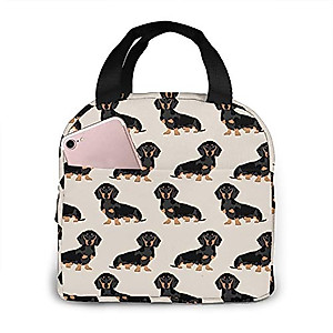 Doxie Dachshund Weiner Dog Lunch Bag For Women Insulated Lunch Box Reusable Cooler Tote Bag For Work Picnic Travel