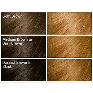 SoftSheen-Carson Dark and Lovely Fade Resist Rich Conditioning Hair Color, Permanent Hair Color, Up To 100 percent Gray Coverage, Brilliant Shine with Argan Oil and Vitamin E, Honey Blonde
