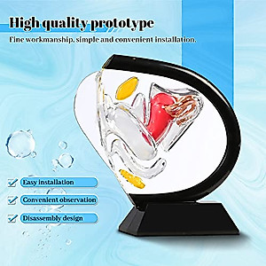 HamRoRung Transparent Uterus Model, Human Vagina Anatomical Model Female Reproductive Organ Model, Uterus Gifts Medical Teaching Models Gynecology Doctor Patient Communication Simulation