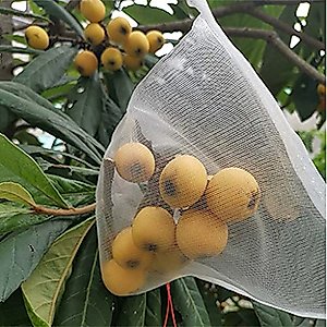 ANWUYANG 50pcs Netting Barrier Bag, Garden Fruit Barrier Cover Bags, White Agriculture Drawstring Mesh Bag, Vegetable Protection from Insect (Size : 15x25cm)