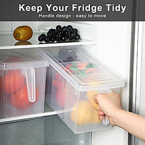 Quzzil 4 Pcs Fridge Organizer Refrigerator Organizer Bins with Lids and Handle Clear Fruit Storage Containers for Fridge Vegetable, Egg, Meat (Divided Style)