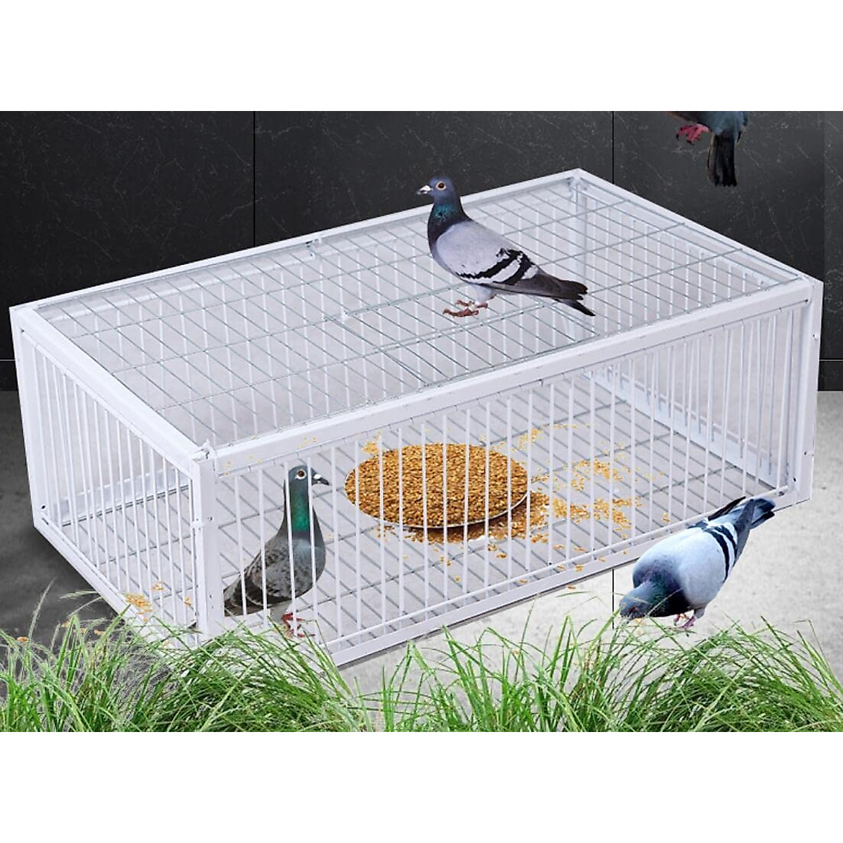 Big Foldable Galvanised Pigeon Dove Bird Trap Cage Feral Pigeon Humane Way with The one-Way Entrance Trapping Pigeons Doves in Cages (40x40x26 4Entrance)