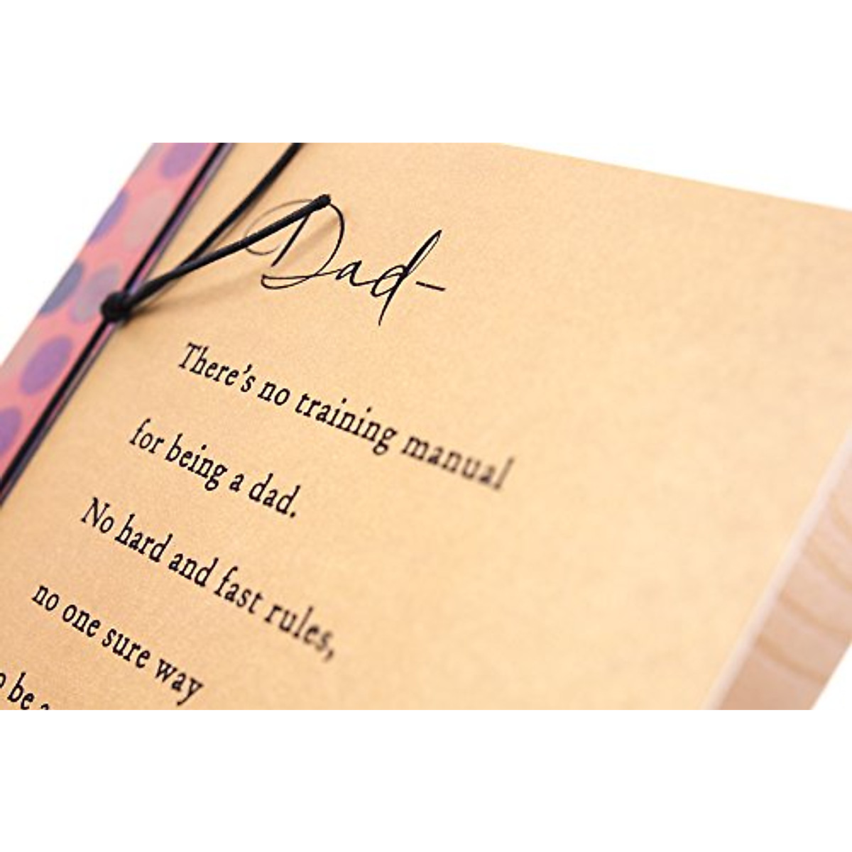 Hallmark Birthday Card for Dad (No Training Manual)