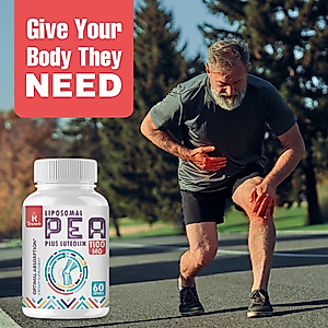 Liposomal Palmitoylethanolamide 1000 mg + Luteolin 100 mg, Micronized Pea 99% Highly Purified - Enhanced Absorption and Bioavailability, 60 Softgels