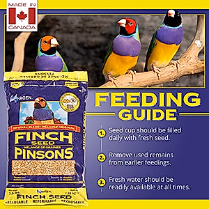 Hagen Finch Staple Vme Seed, 3-Pound