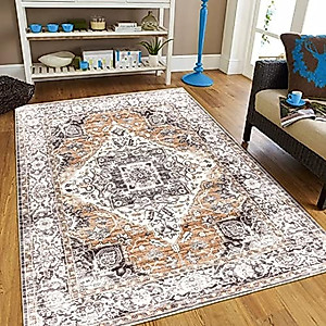 Boho Washable Area Rug 3x5 Bedroom Entry Throw Rug Medallion Stain Resistant Distressed Bohemian Ultra Thin Rug Non-Slip Carpet for Entrance Living Room Dining Table