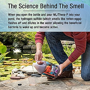MICROBE-LIFT PL Pond Bacteria and Outdoor Water Garden Cleaner, Safe for Live Koi Fish, Plant Life, and Decor (1 Gallon)